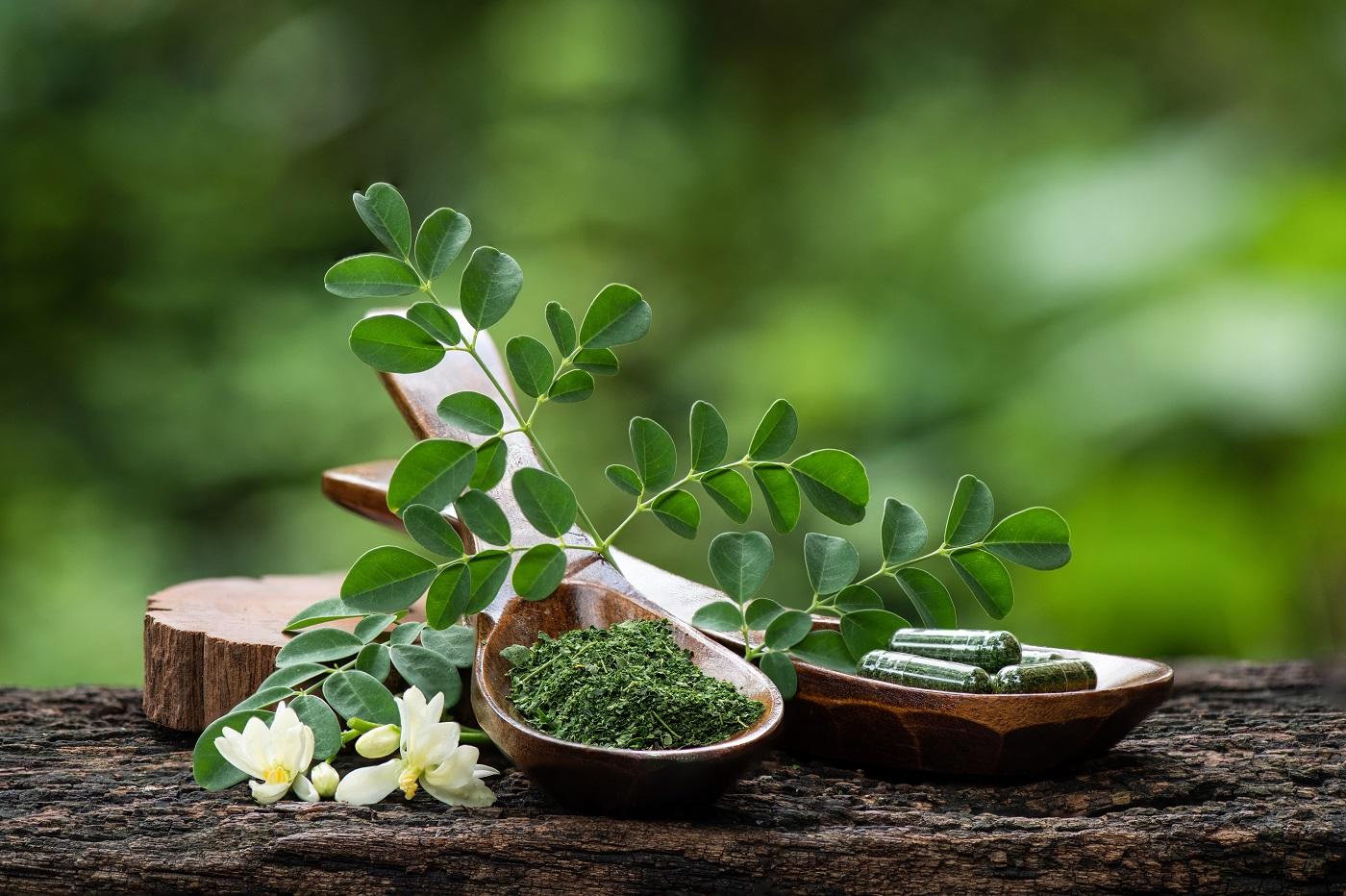 Moringa – účinky, využití, vliv na zdraví - Vmagazin.cz